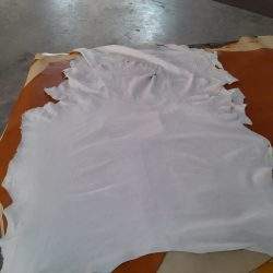 Goat Leather Bangladesh » Nesa & Mia Leather